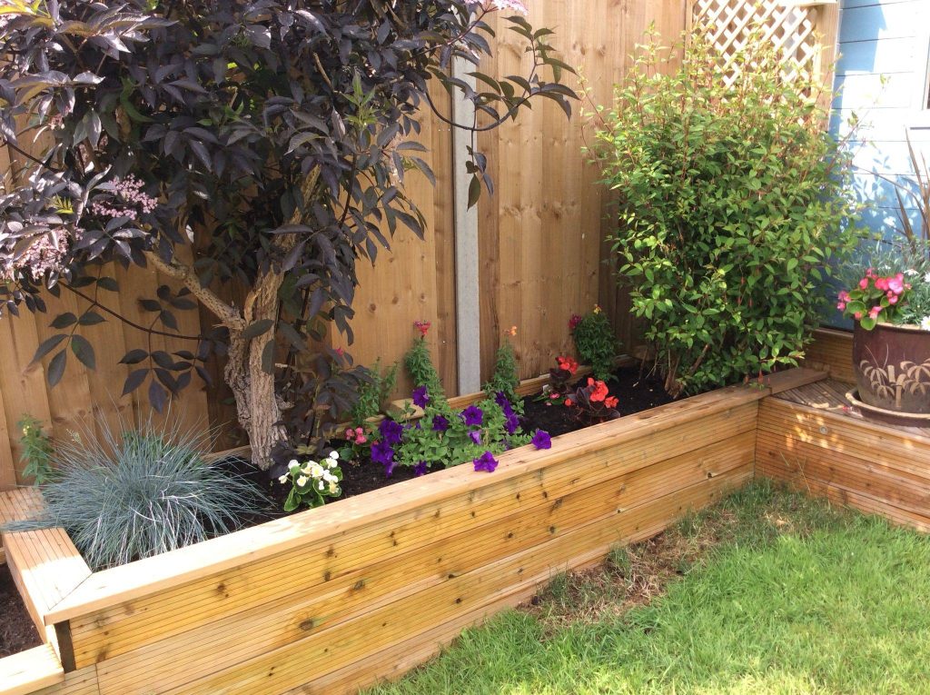 Thoughts on raised beds for fruit trees? : r