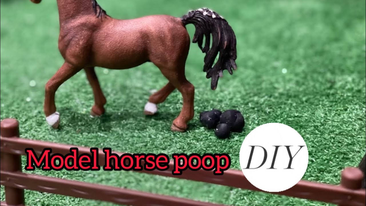 Constipation in Horses & Straining to Defecate (Tenesmus)